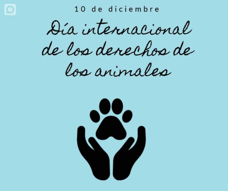 Día internacional de los Derechos de los Animales - Islavision ...