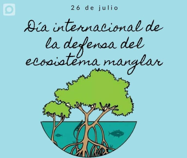 Día Internacional de la defensa del ecosistema manglar - Islavision webIslavision web